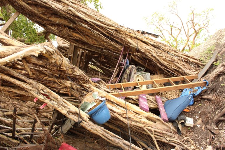 Imagining another world in post-Irma Florida | Scalawag